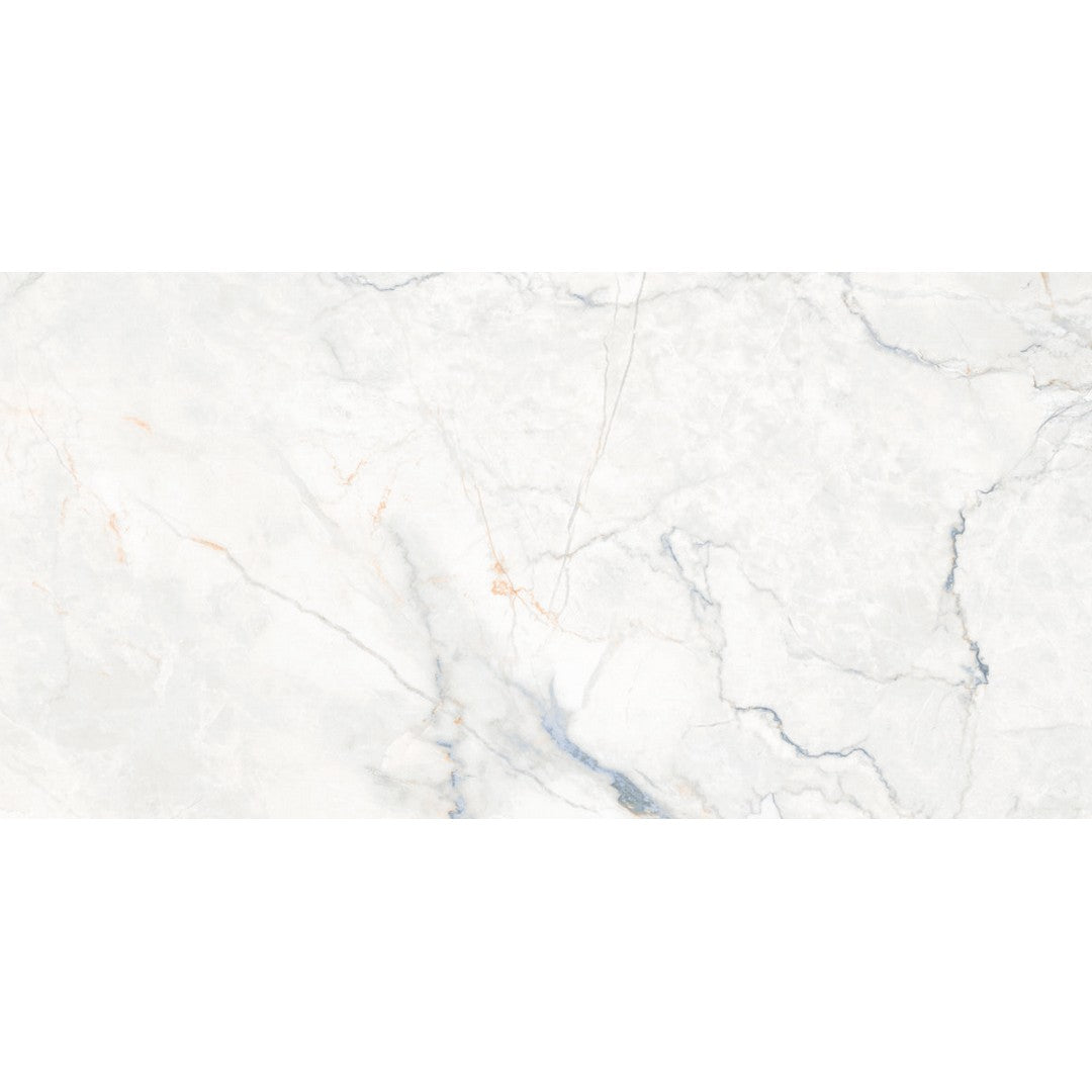 Happy Floors Statik 12" x 24" Rectified Polished Porcelain Tile