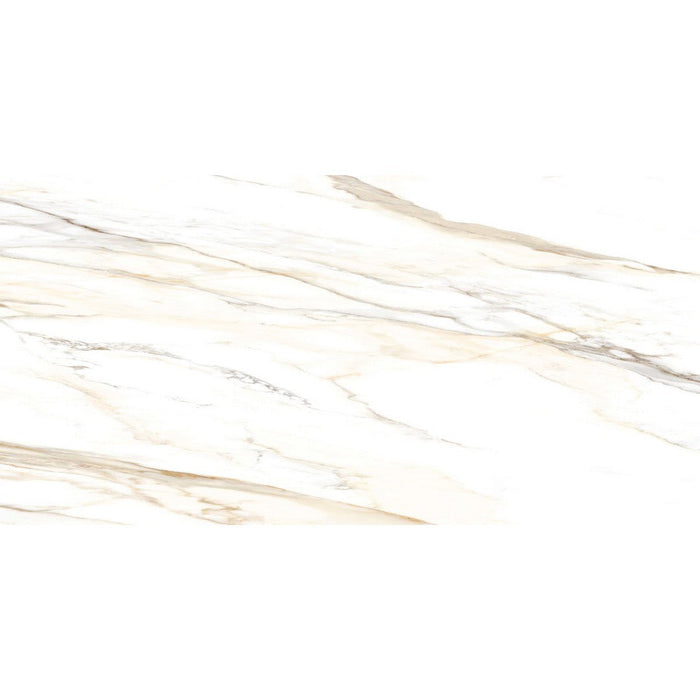 Happy Floors Dorian 24" x 48" Rectified Honed Porcelain Tile