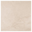 Daltile Advantage 12" x 12" Matte Ceramic Floor Tile