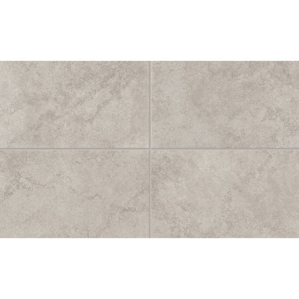 Daltile Choice 12x24 Glazed Ceramic Floor Tile in Matte Surface