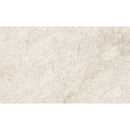 Daltile Choice 12x24 Glazed Ceramic Floor Tile in Matte Surface