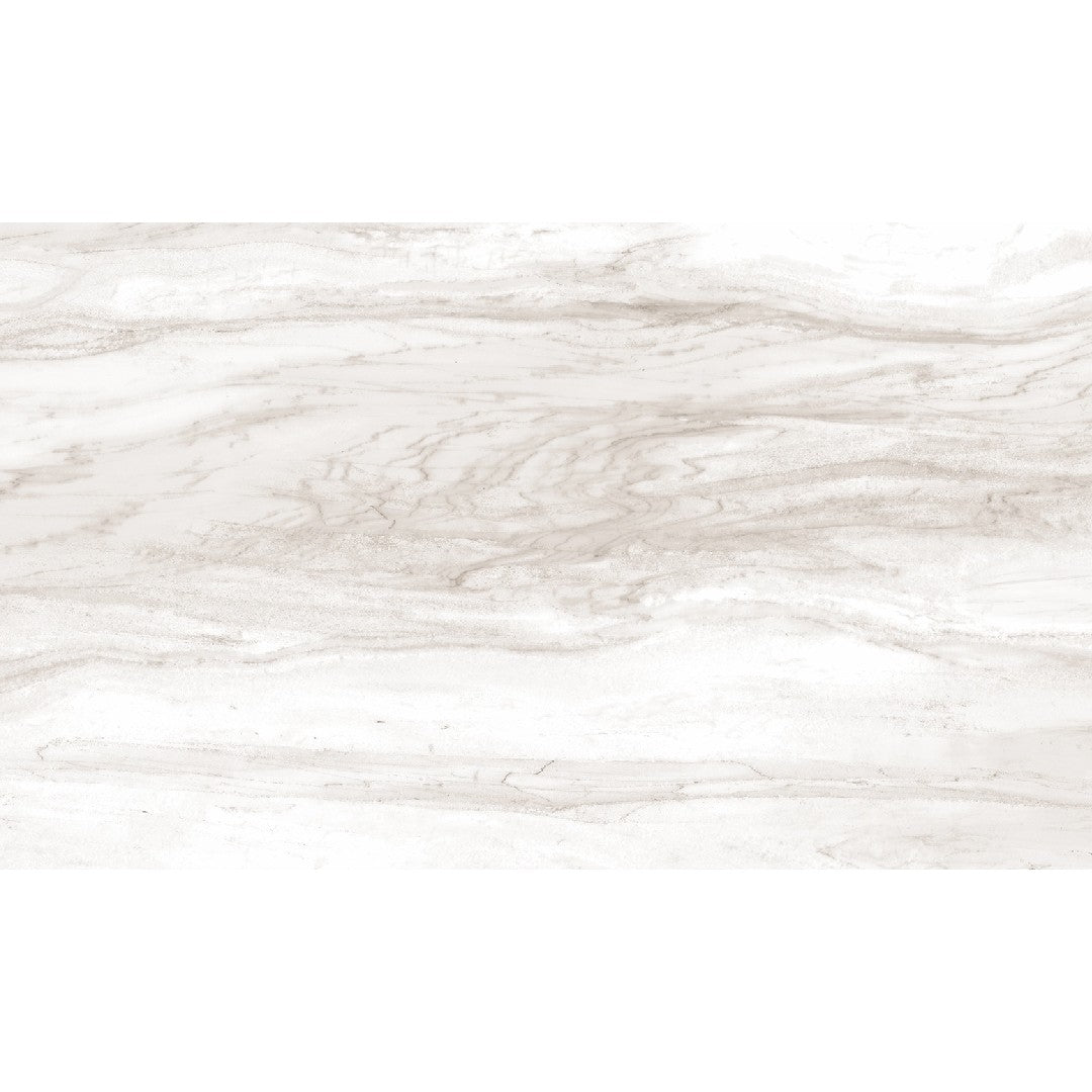 Daltile Platinum 12" x 24" Matte Porcelain Floor Tile
