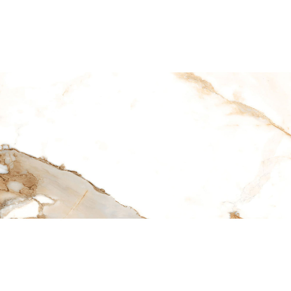 Happy Floors Crash 12" x 24" Rectified Polished Porcelain Tile