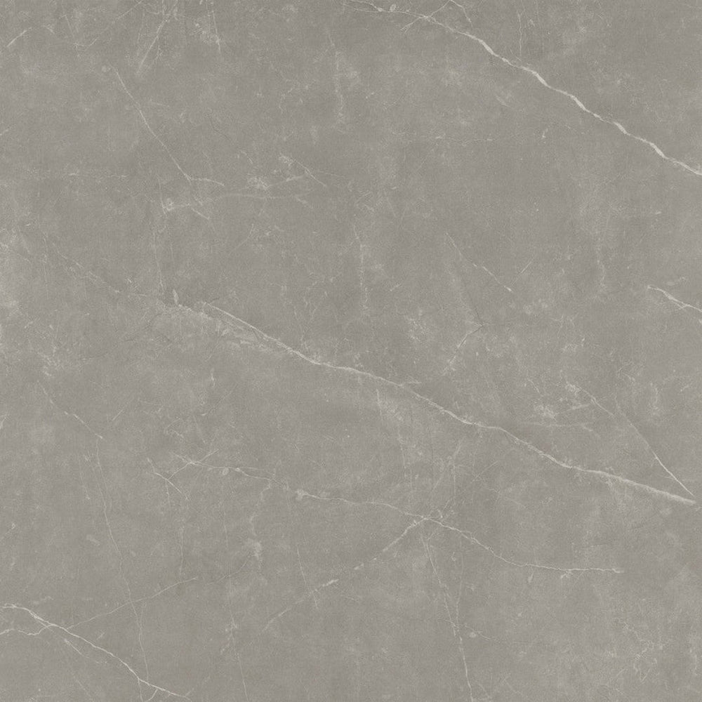 Asphalt 24x24 Emser Sterlina II Porcelain Tile in Matte Finish