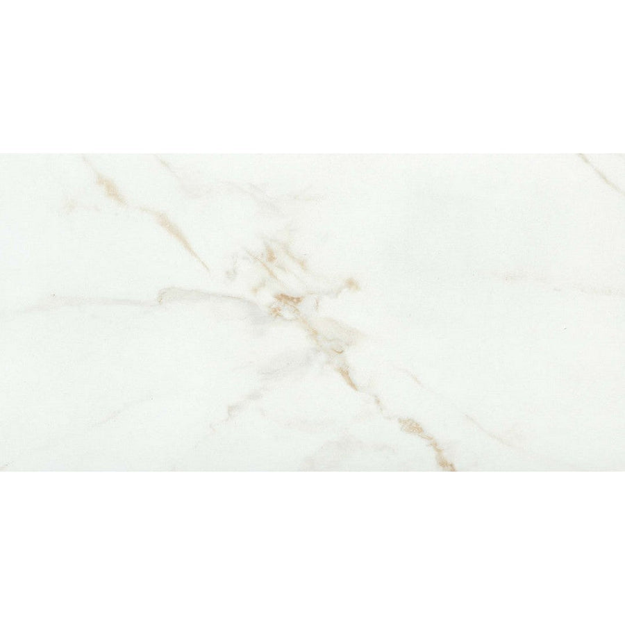 Emser Visconde Porcelain 12x24 Polished Tile
