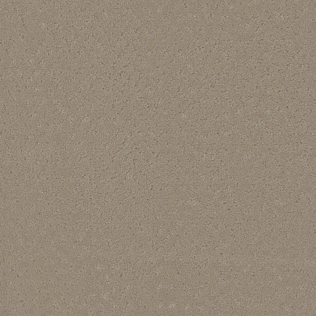 Phenix Floor Ever Pet Plus 12' Impression Carpet Tile